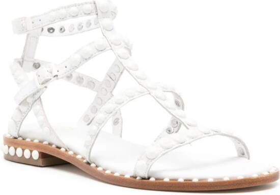 Ash Precious sandalen Wit - Schoenen.nl
