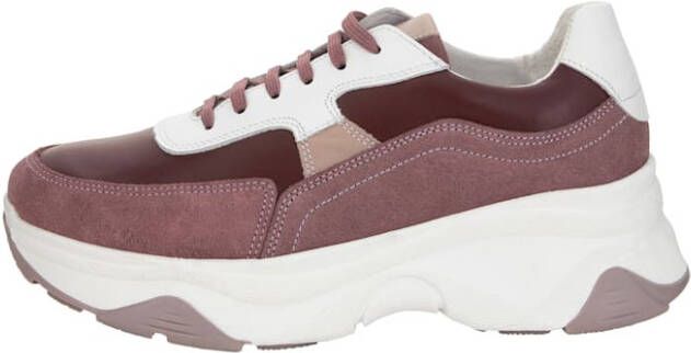 WENZ Sneaker van een mooie leermix Lila Bordeaux Beige Wit - Schoenen.nl
