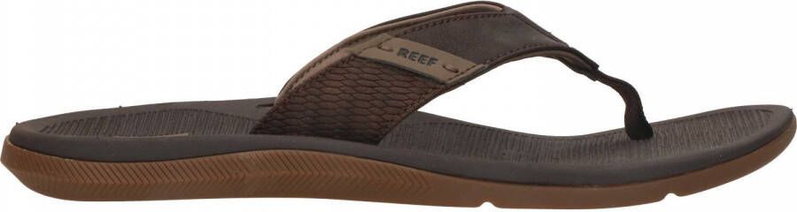 Reef Slipper - Schoenen.nl